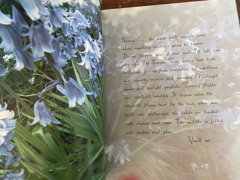 Fairie-ality: the Fashion Collection From the House of Ellwand - Etsy