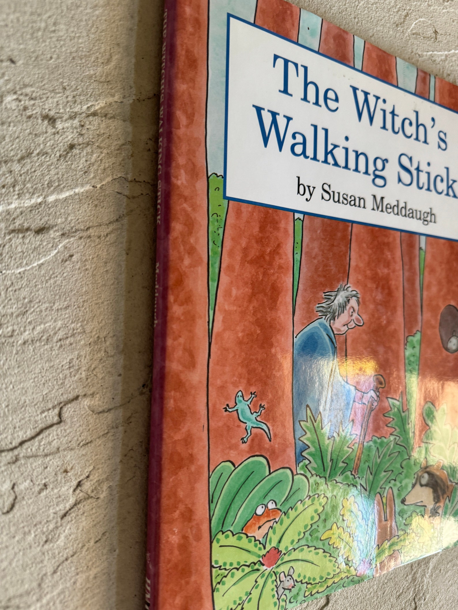 The Witch's Walking Stick Meddaugh, Susan - Etsy