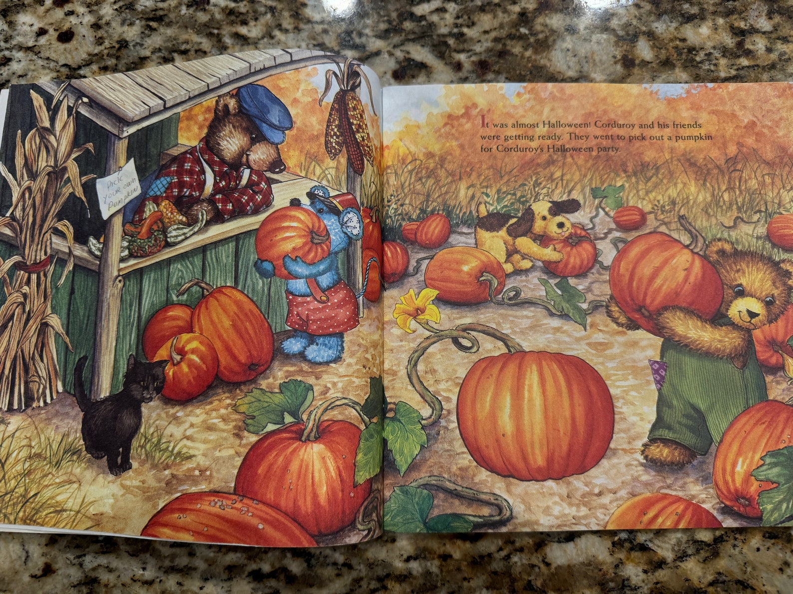 Corduroy's Best Halloween Ever (turtleback School Library Binding ...