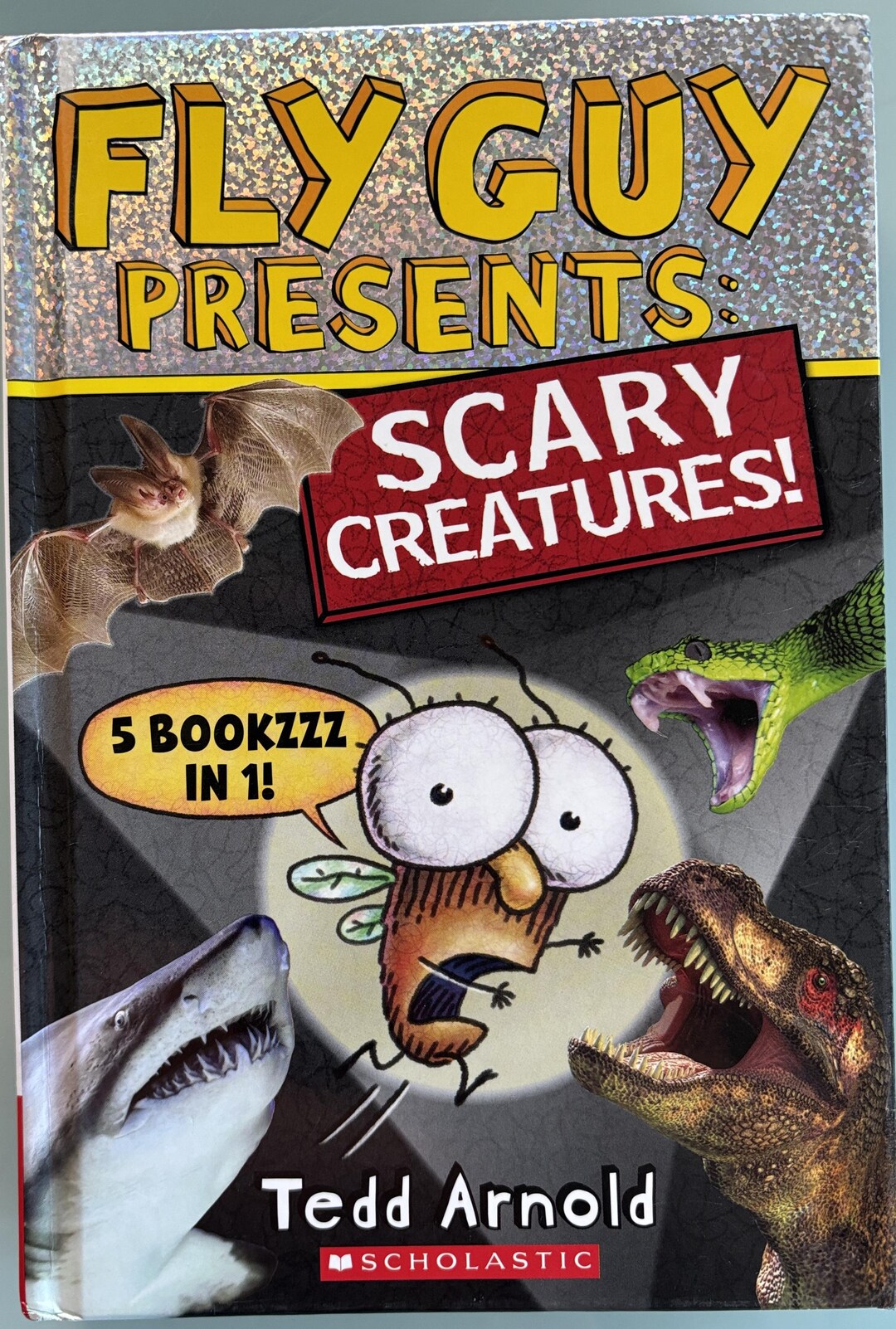 Fly Guy Presents - Scary Creatures - 5 Bookzzz in 1 - Etsy