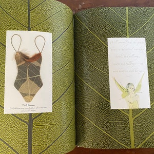 Fairie-ality: the Fashion Collection From the House of Ellwand by ...