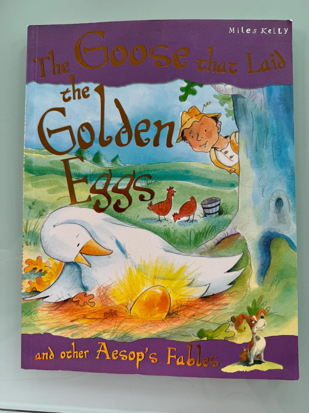 Goose Who Laid the Golden Egg Victoria Parker Softcover Aesops Fables ...
