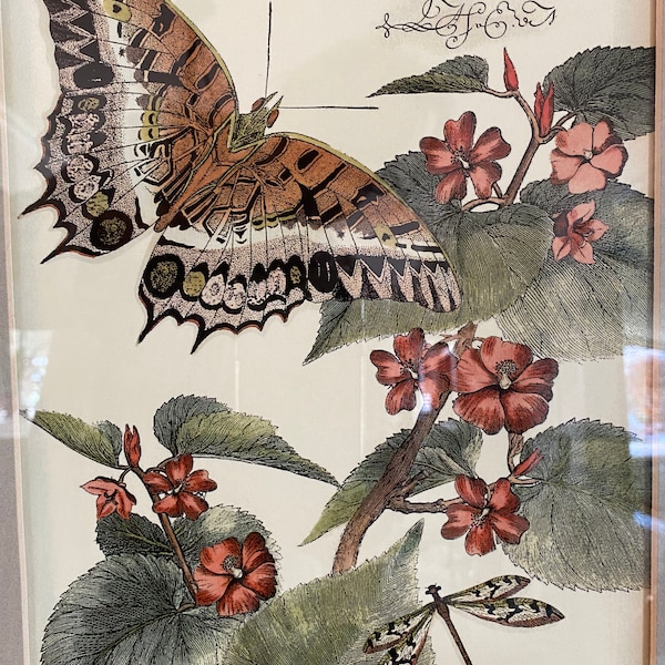 Butterfly Lithograph - Etsy