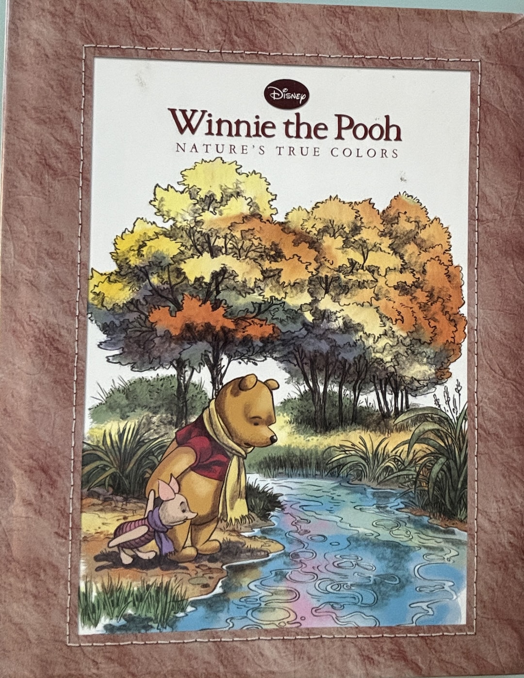 Winnie the Pooh - Nature's True Colors - 1st Edition 2010 - Etsy