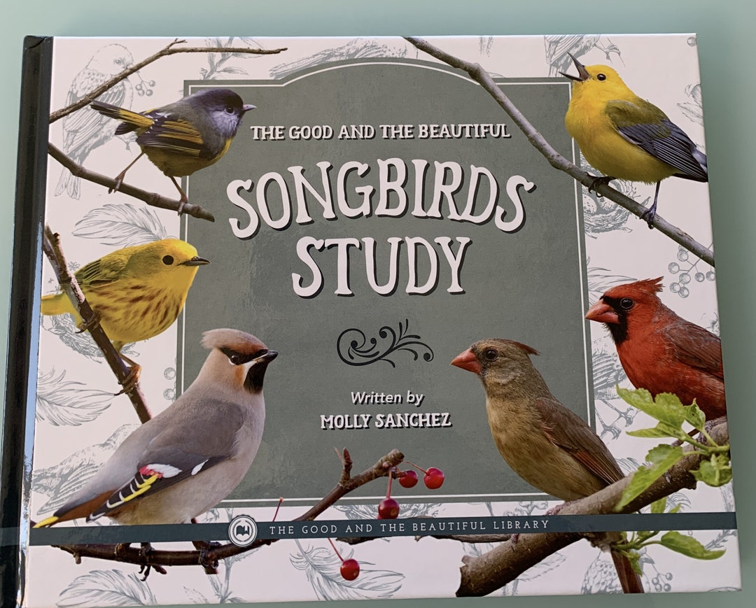 Songbirds Study - by Molly Sanchez - Etsy