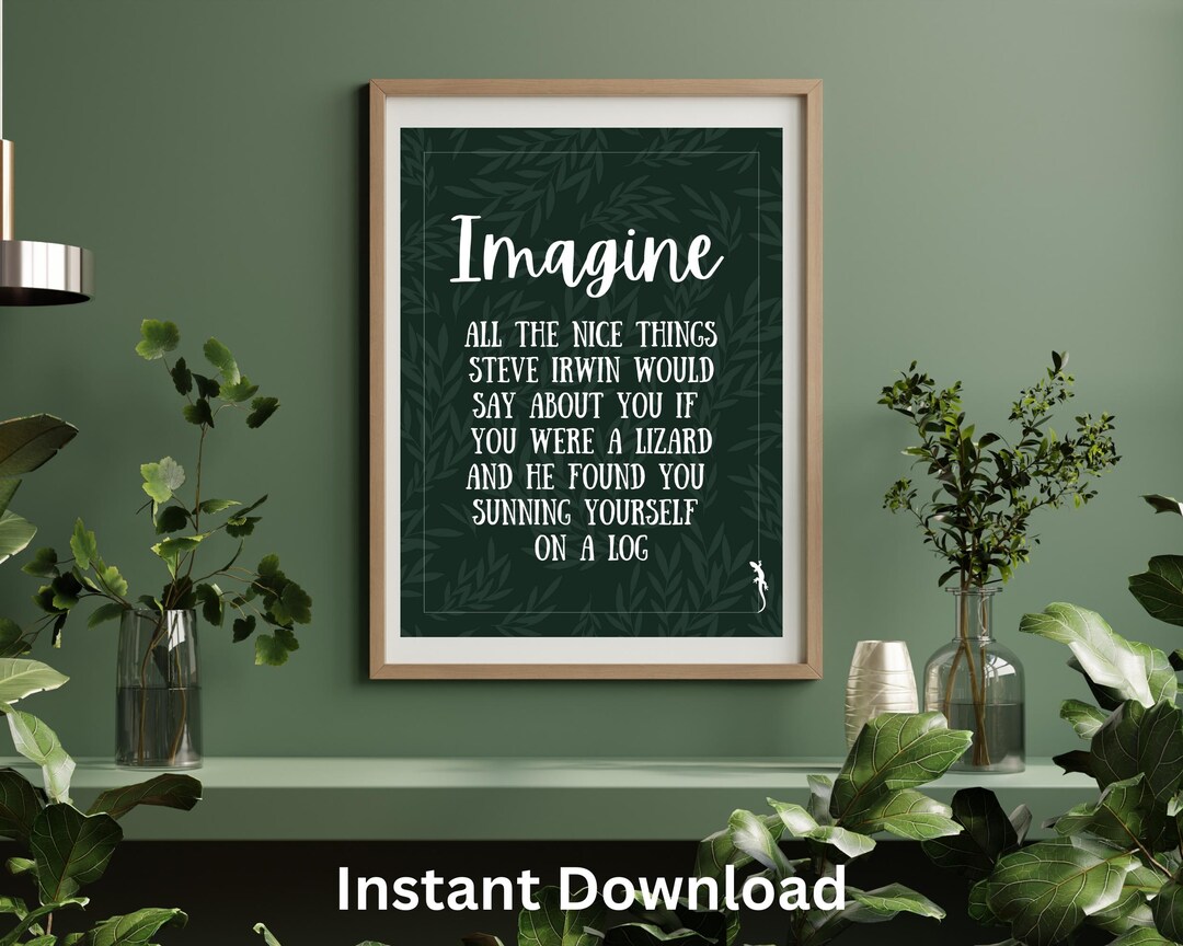 Motivational Steve Irwin Wall Art, Positive Affirmations, Kids Office ...