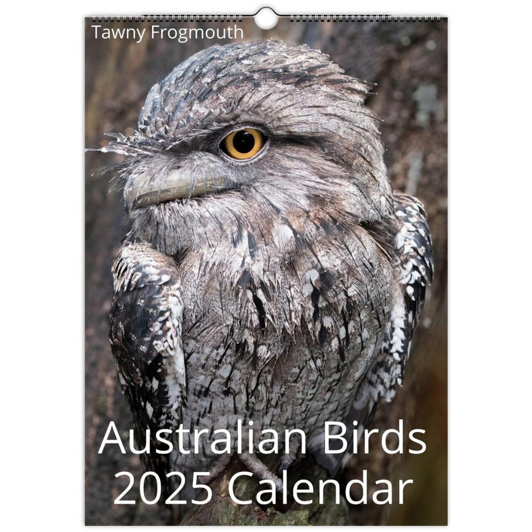 Australian Bird Calendar 2025 Version 1 - Etsy