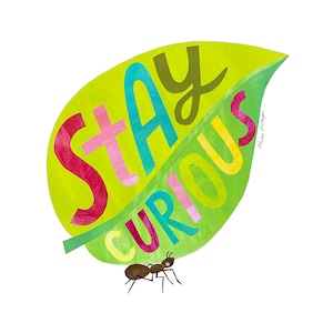 Stay Curious | Collage | Nursery Art - Etsy