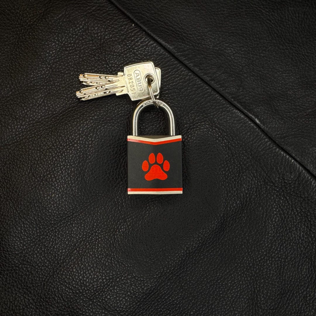 3 Sizes | Paw Print Padlocks | 16 Colors | Pairs With Mr S Pup Hoods ...