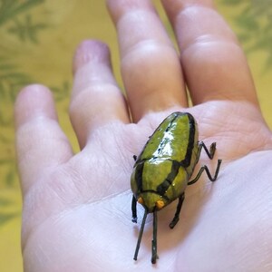 Green Beetles as Seen in Better Homes and Gardens October 2019 THREE ...