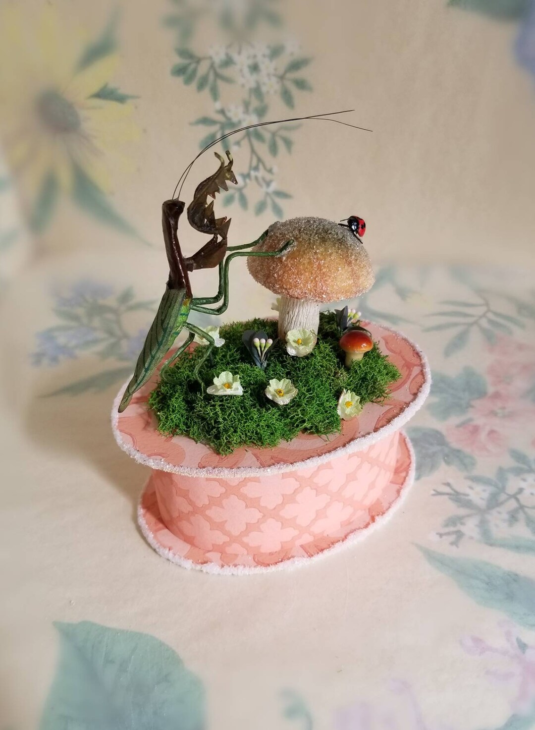 Praying Mantis and Ladybug Woodland Oval Keepsake Box - Etsy