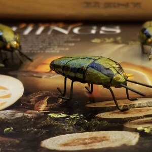 Green Beetles as Seen in Better Homes and Gardens October 2019 THREE ...