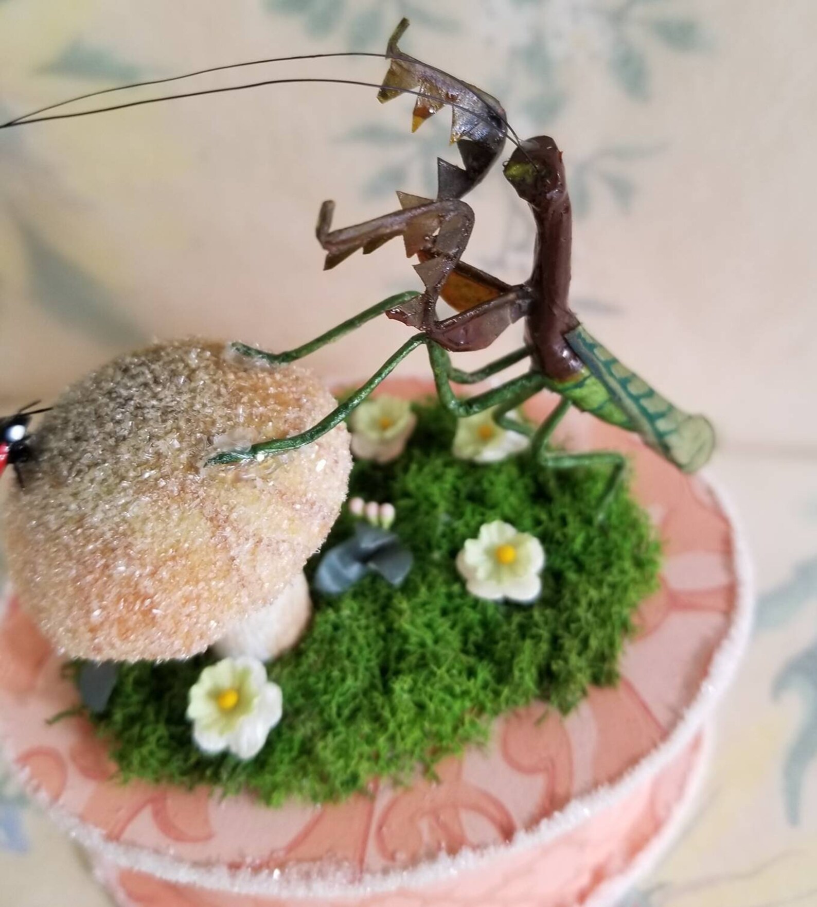 Praying Mantis and Ladybug Woodland Oval Keepsake Box | Etsy