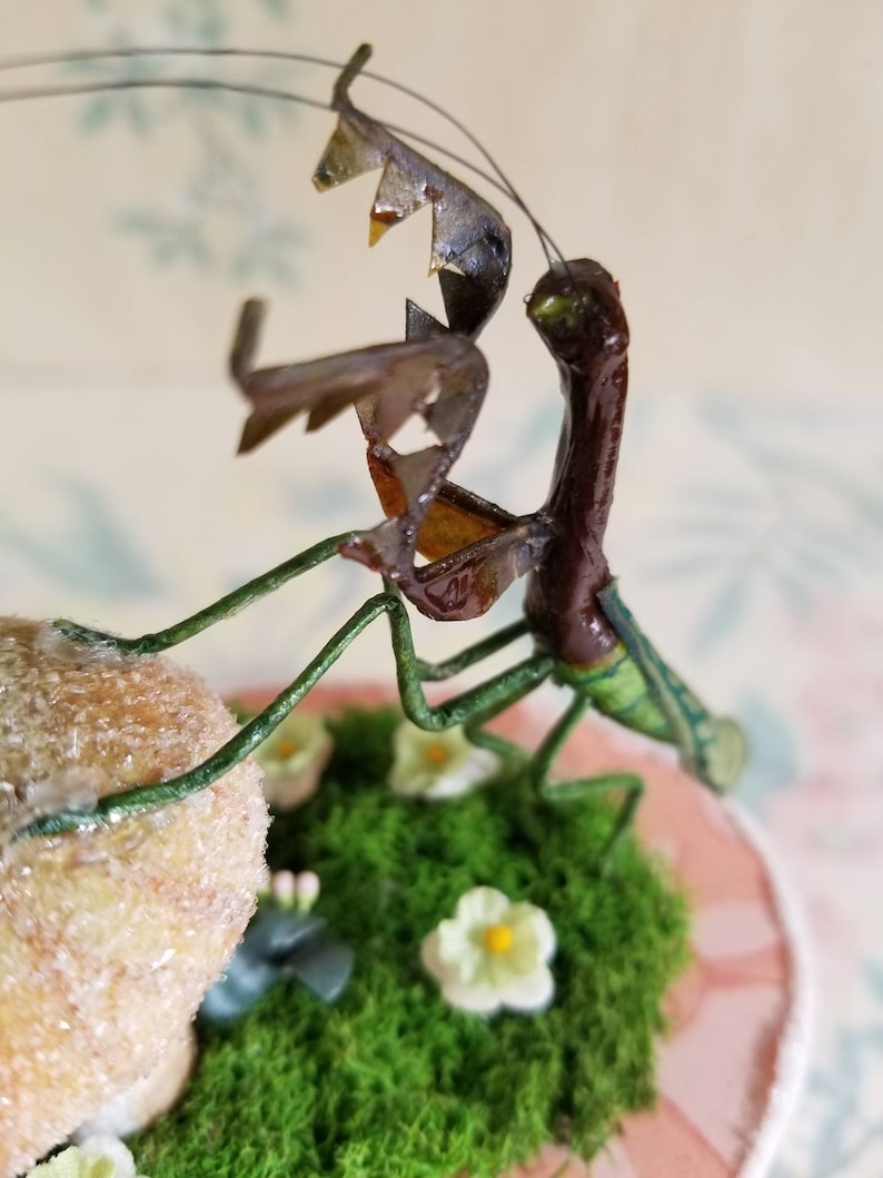 Praying Mantis and Ladybug Woodland Oval Keepsake Box - Etsy