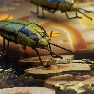 Green Beetles as Seen in Better Homes and Gardens October 2019 THREE ...