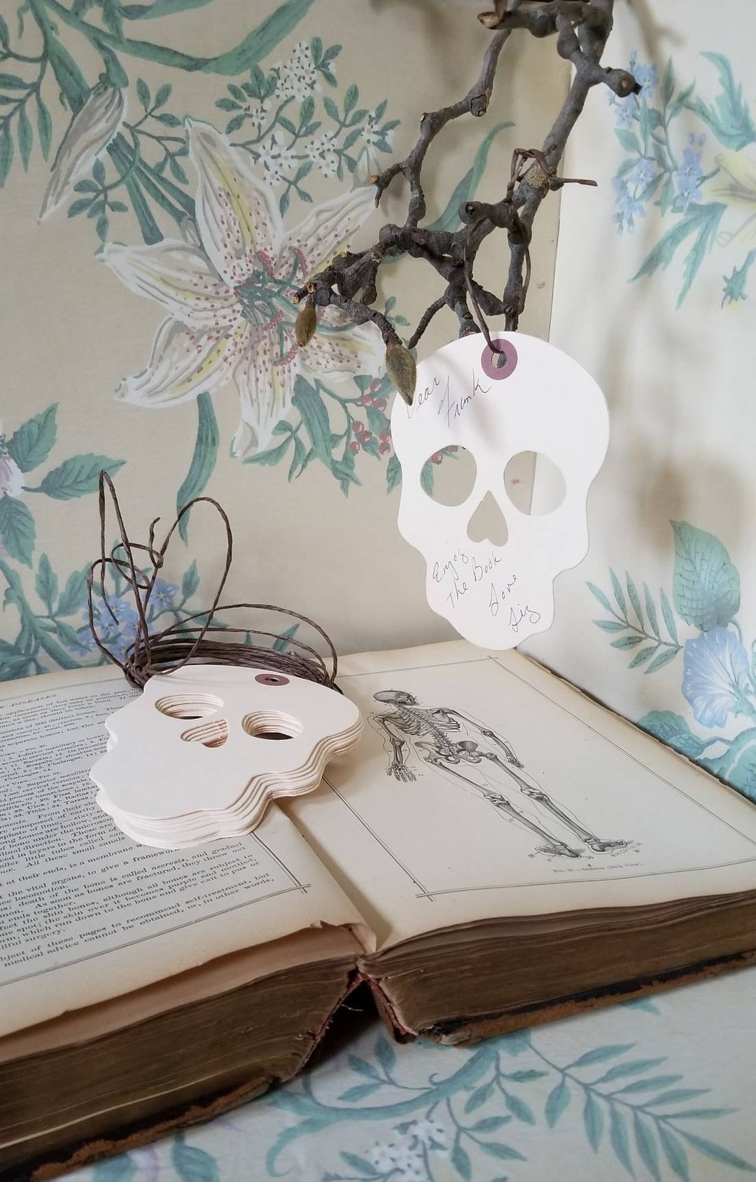 Creepy Cute Skull Gift Tags Set of 10 - Halloween Gift Giving - Party ...