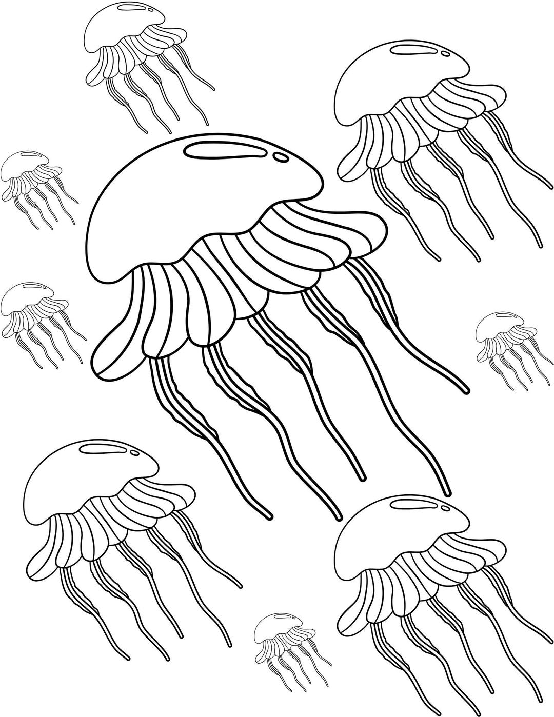 Qualle, Qualle, Ausmalbild zum Ausdrucken, Qualle, Qualle zum ...
