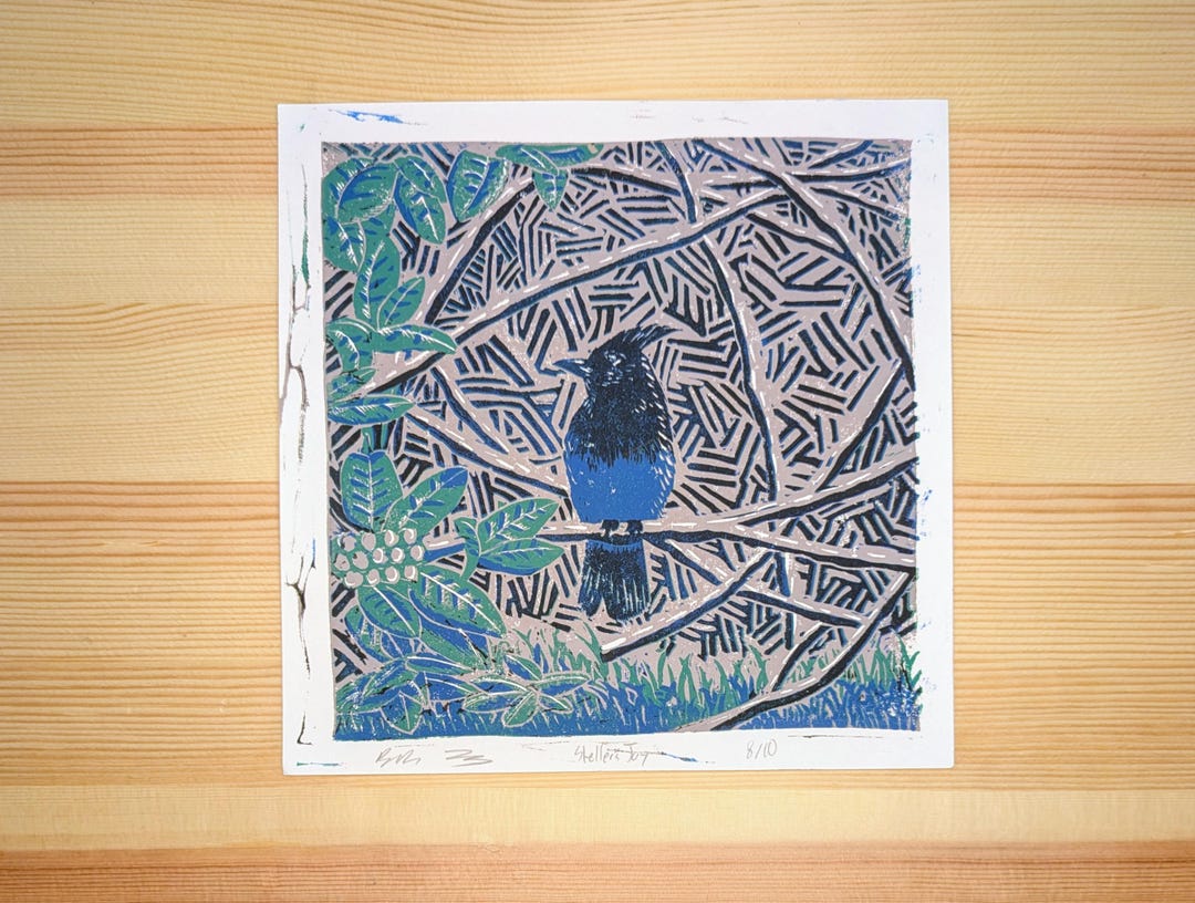 Stellar's Jay - Reduction Linocut Print - Etsy