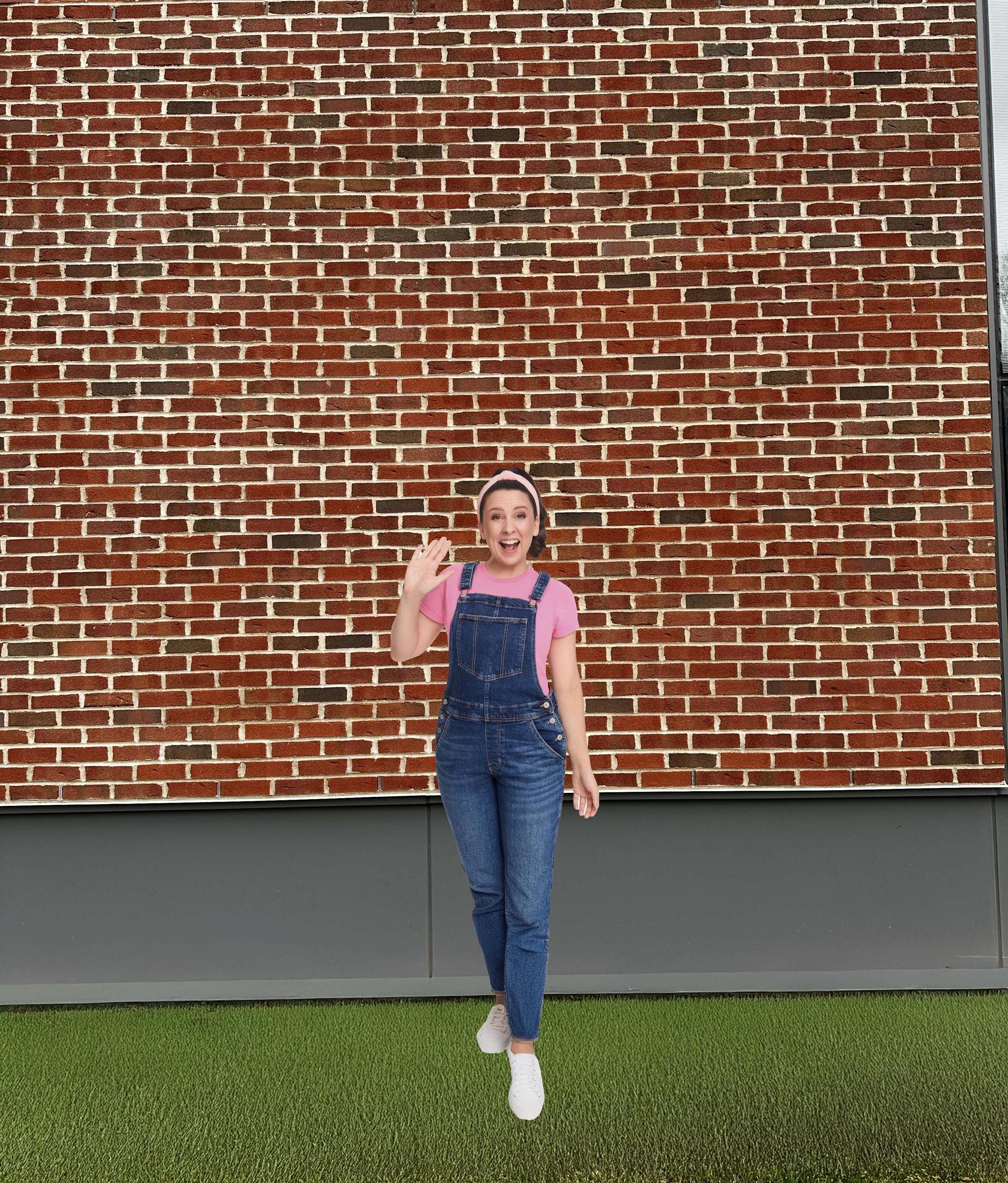 Life-size Digital Ms. Rachel Experience! Photo Prop and Birthday Decor ...