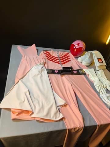 1/1 Himitsu Sentai Goranger Cosplay Costume Suit Full Set - Etsy