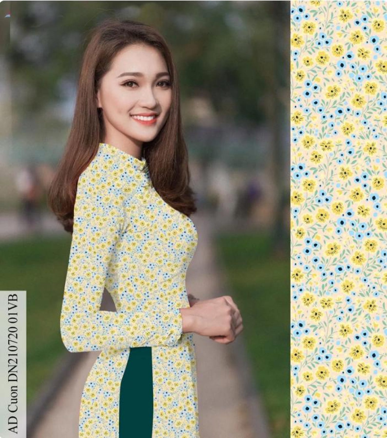 Vietnamese Traditional Ao Dai for Women Nguyen Bo(with Pants), Ao Dai ...