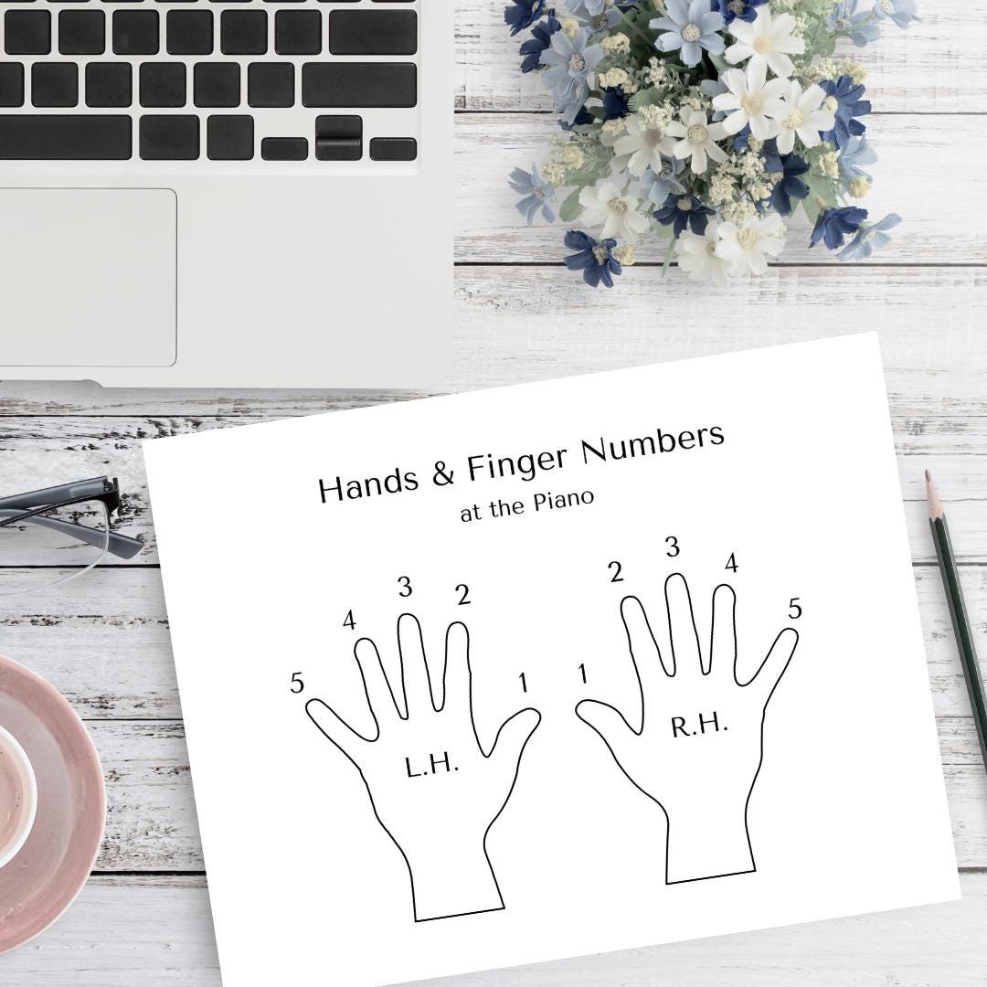 Piano Hands and Finger Numbers - PDF Printable - for Music Teachers ...