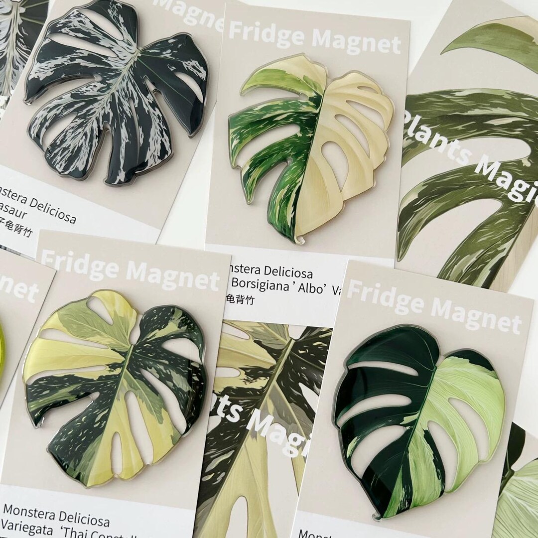 Plants Magic - Monstera Fridge Magnet - Rare Plants Fridge Magnet ...