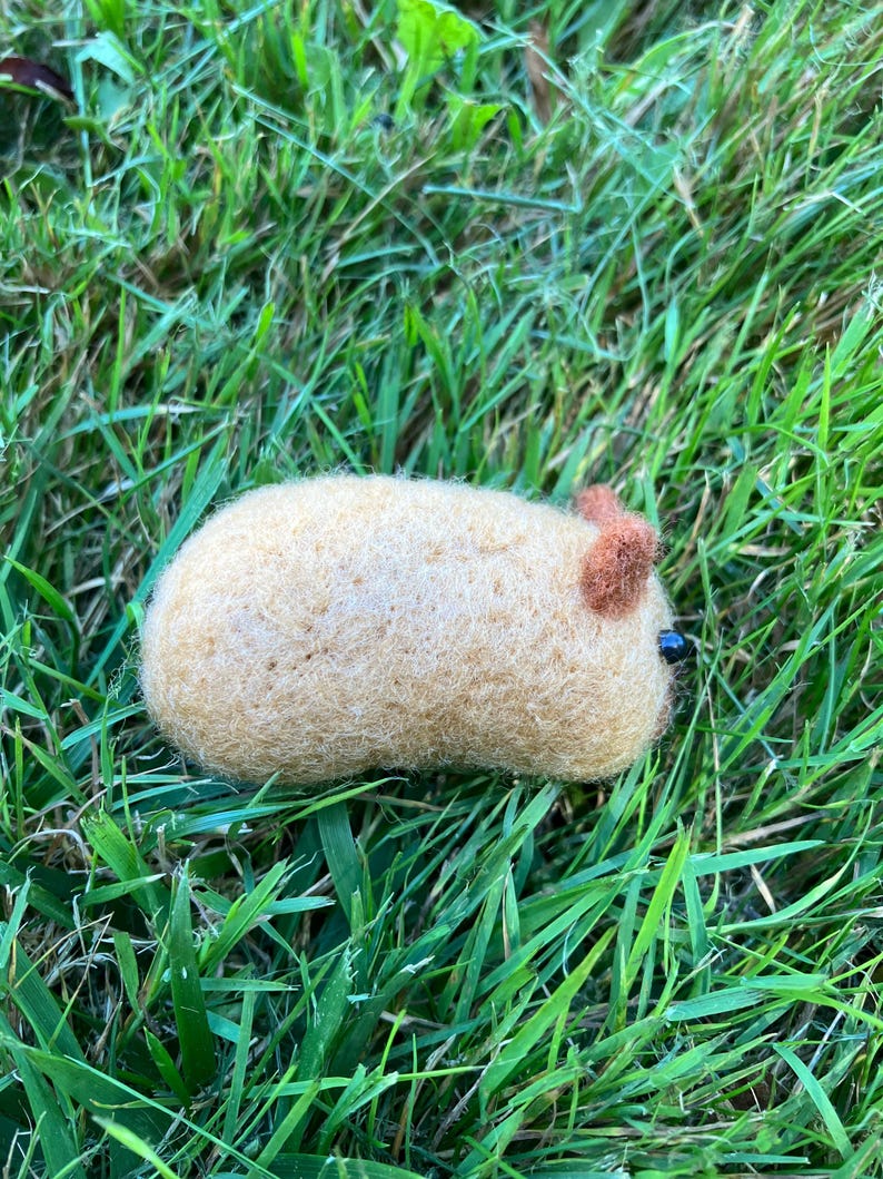 Needle Felted Capybara Figurine: Miniature Wool Animal With Tiny Apple ...