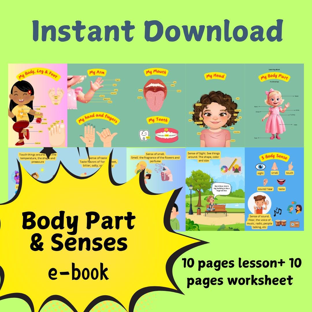 Fun and Informative Worksheets for Kids 3-5: Dive Into the Human Body ...