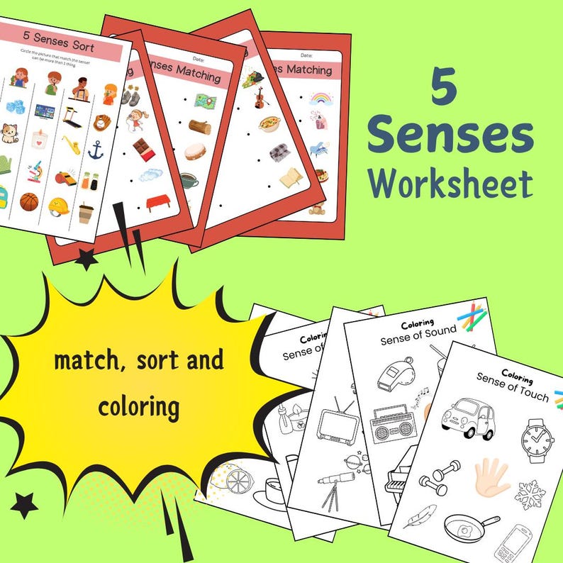 Fun and Informative Worksheets for Kids 3-5: Dive Into the Human Body ...