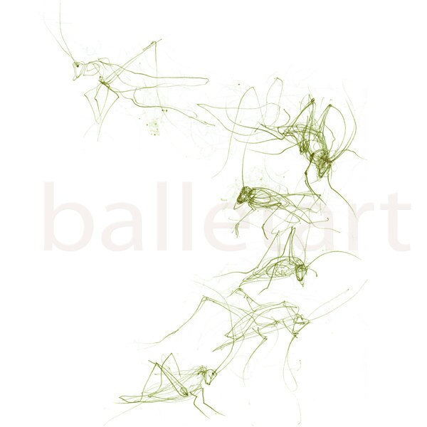 Insect Art, Emerald Green, Art Print, Grasshopper, Snapshot, Wall Art ...