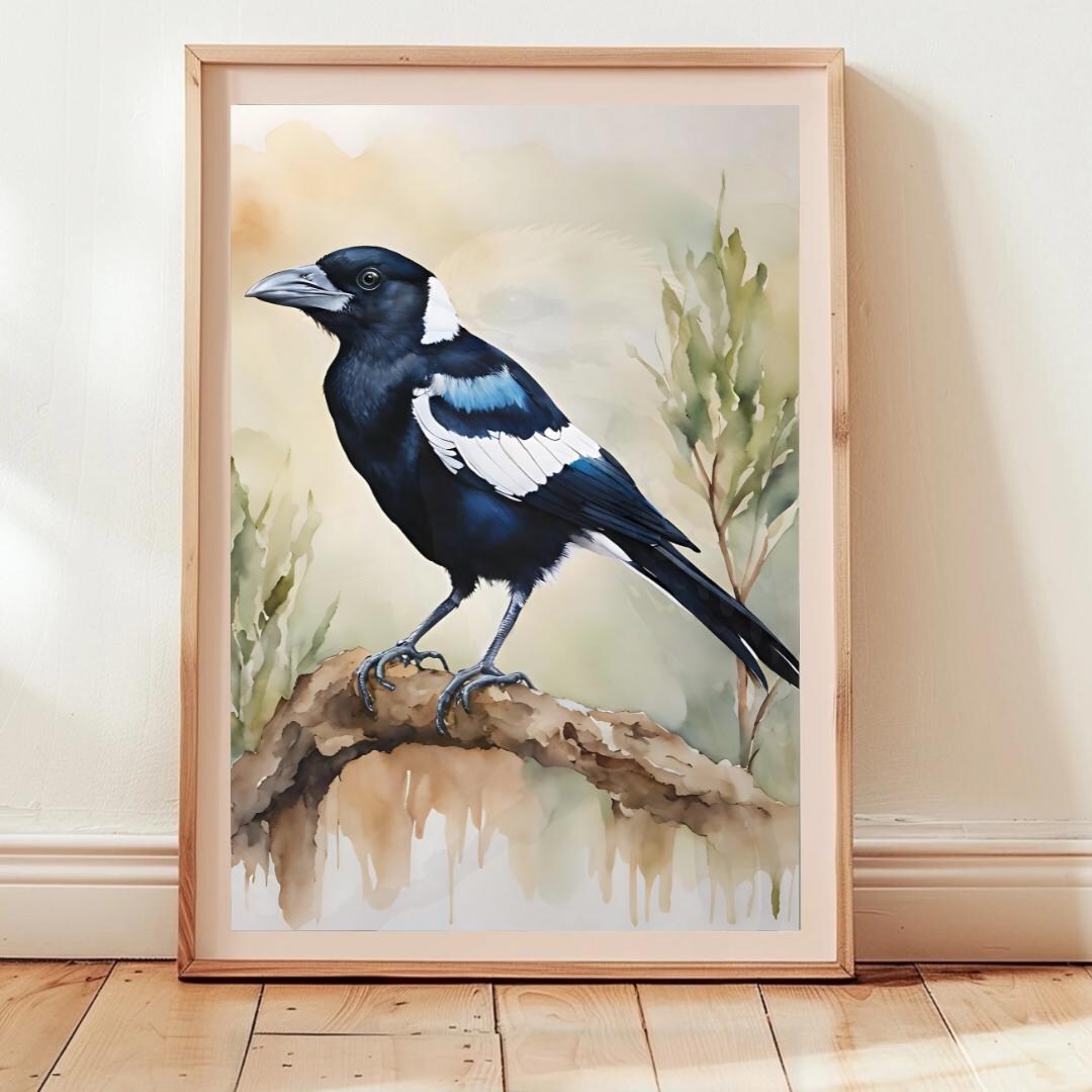 Australian Magpie Bird Printable Artwork - Etsy
