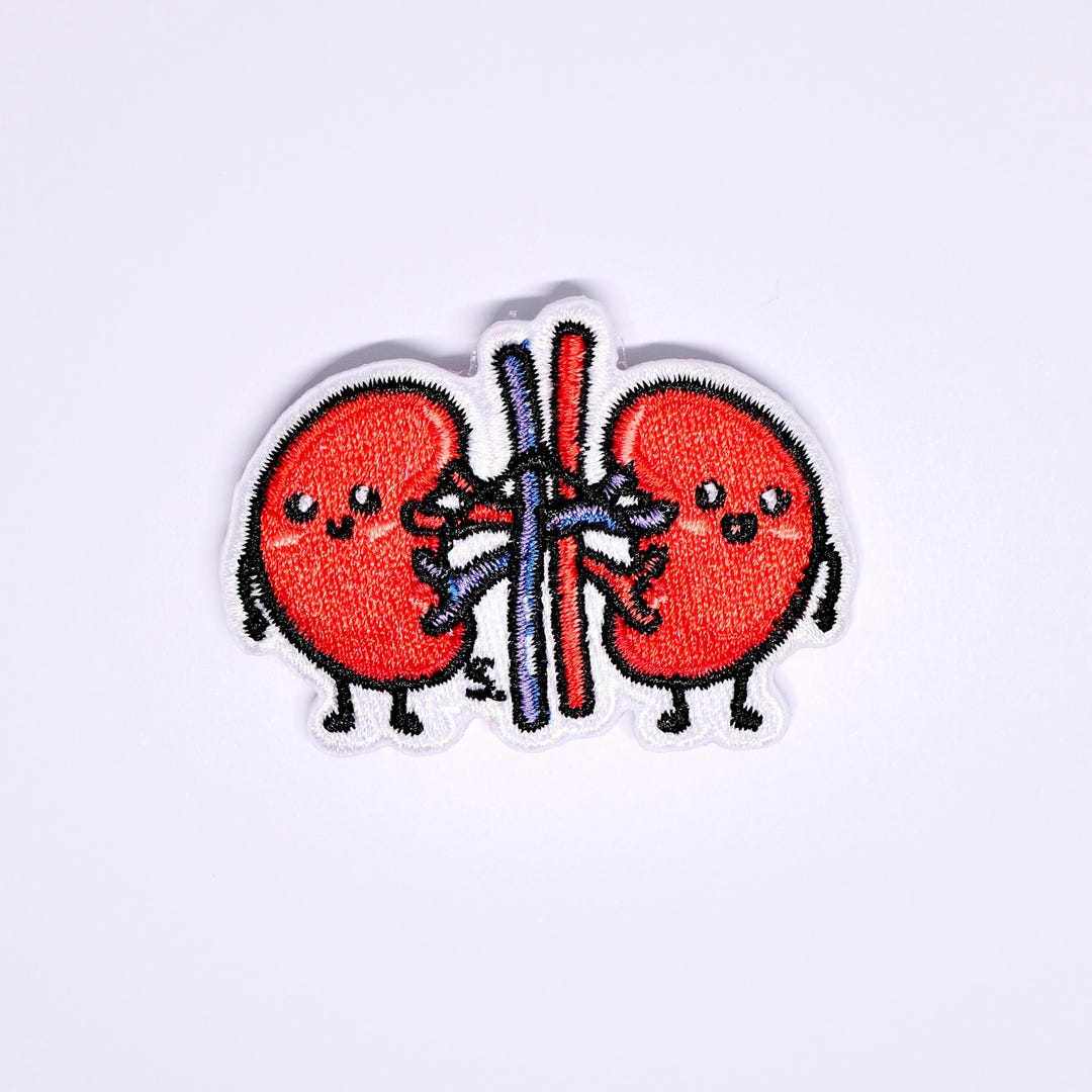 Kade & Klyde the Kidneys Cute Embroidered Iron-on Anatomy Patches for ...