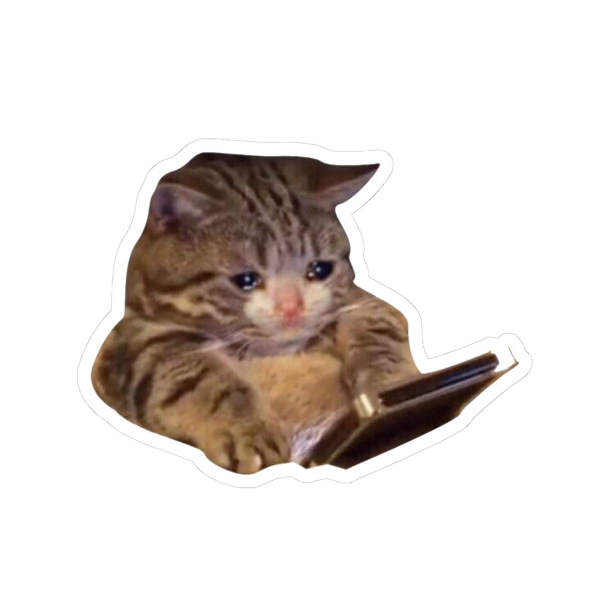 Funny Cat Meme Kiss-cut Stickers, Cute Kitten Kitty Sad Design, Laptop ...