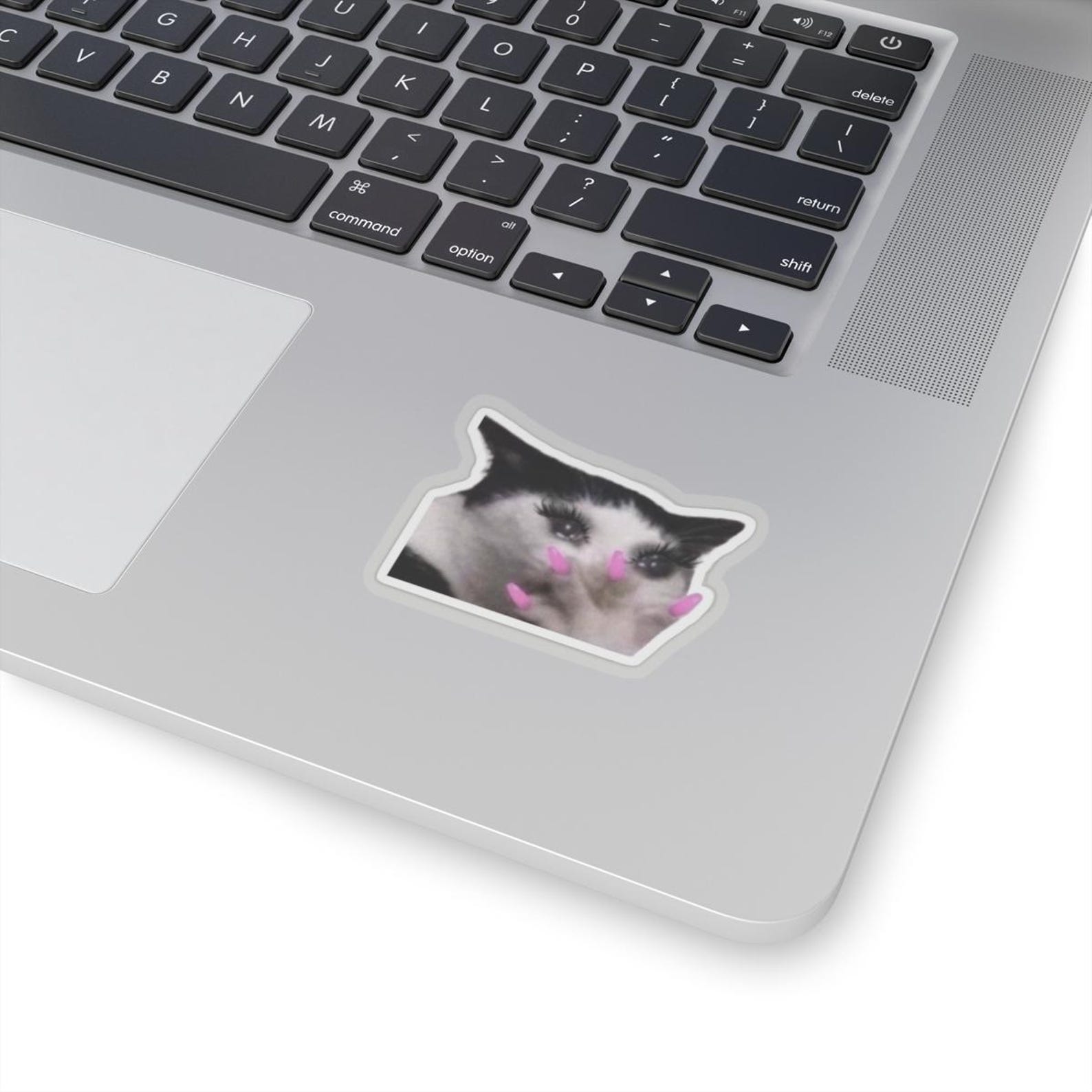 Slay Cat Meme Stickers, Funny Laptop Decals, Cute Planner Accessories ...