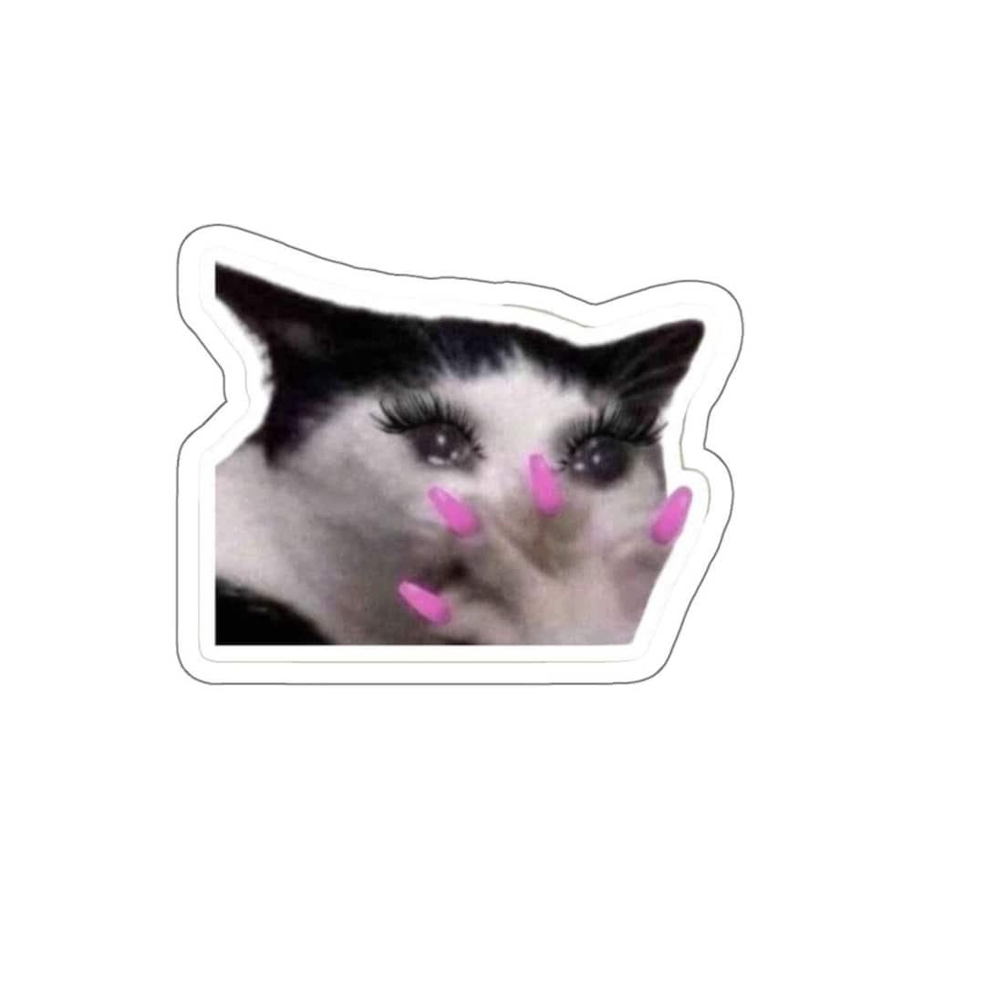 Slay Cat Meme Stickers, Funny Laptop Decals, Cute Planner Accessories ...