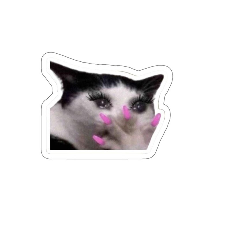 Slay Cat Meme Stickers, Funny Laptop Decals, Cute Planner Accessories ...
