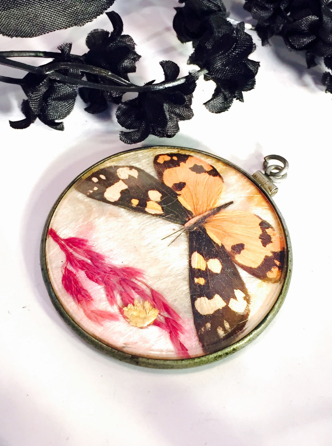 Beautiful Large Victorian Butterfly Medallion Glass Silver Antique ...