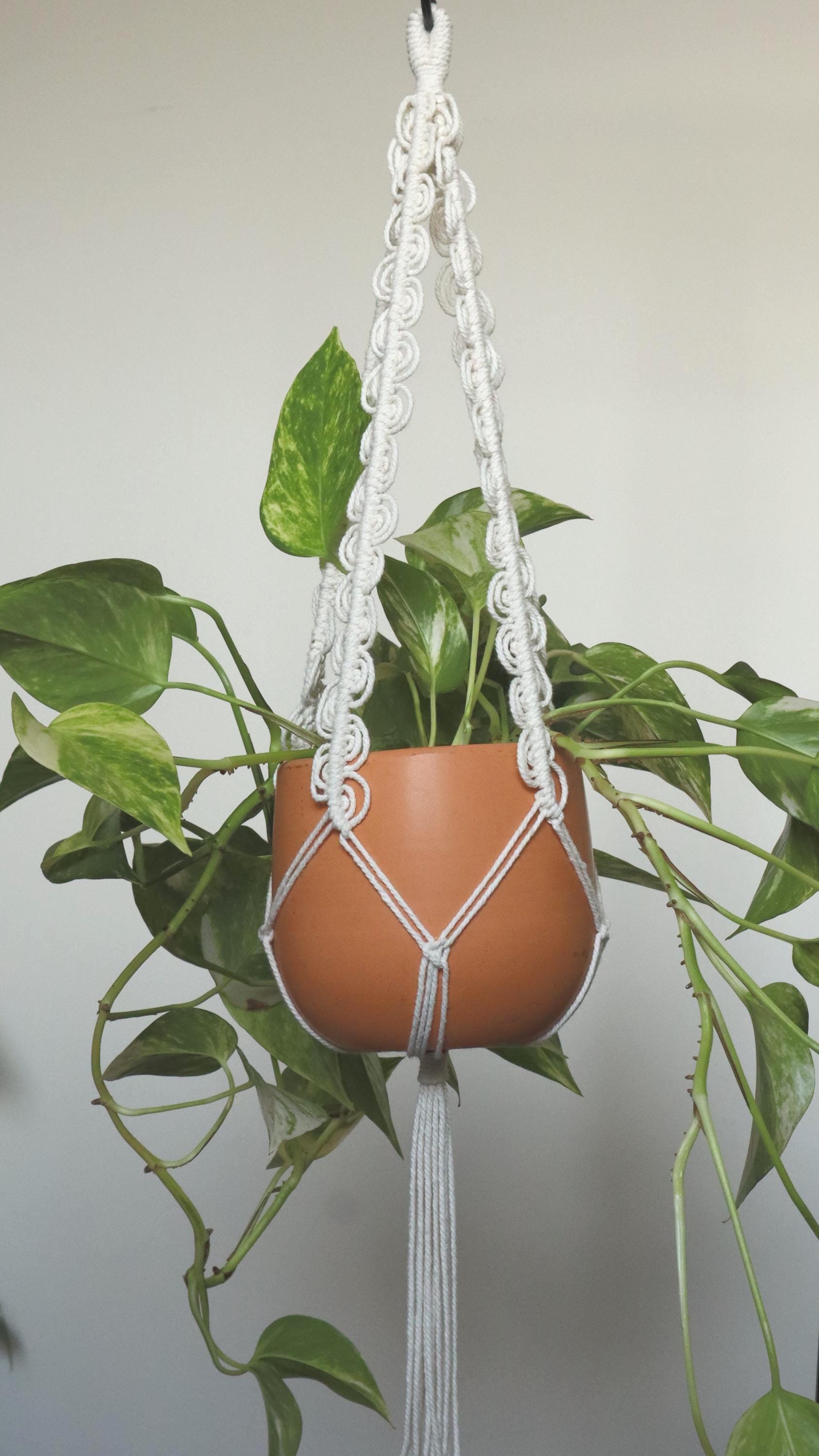 PDF Macrame Plant Hanger Pattern - DIY Digital Download - Step by Step ...