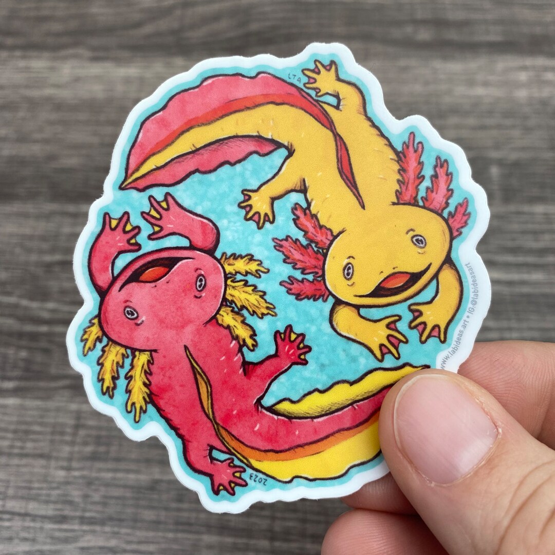 Axolotl Yin Yang 3 Vinyl Decal Sticker - Etsy