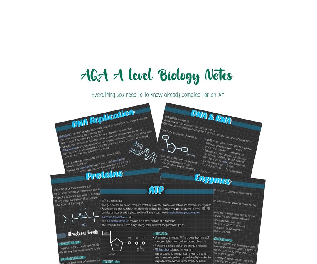 A* AQA A-level Biology Revision Notes - Biological Molecules - Etsy