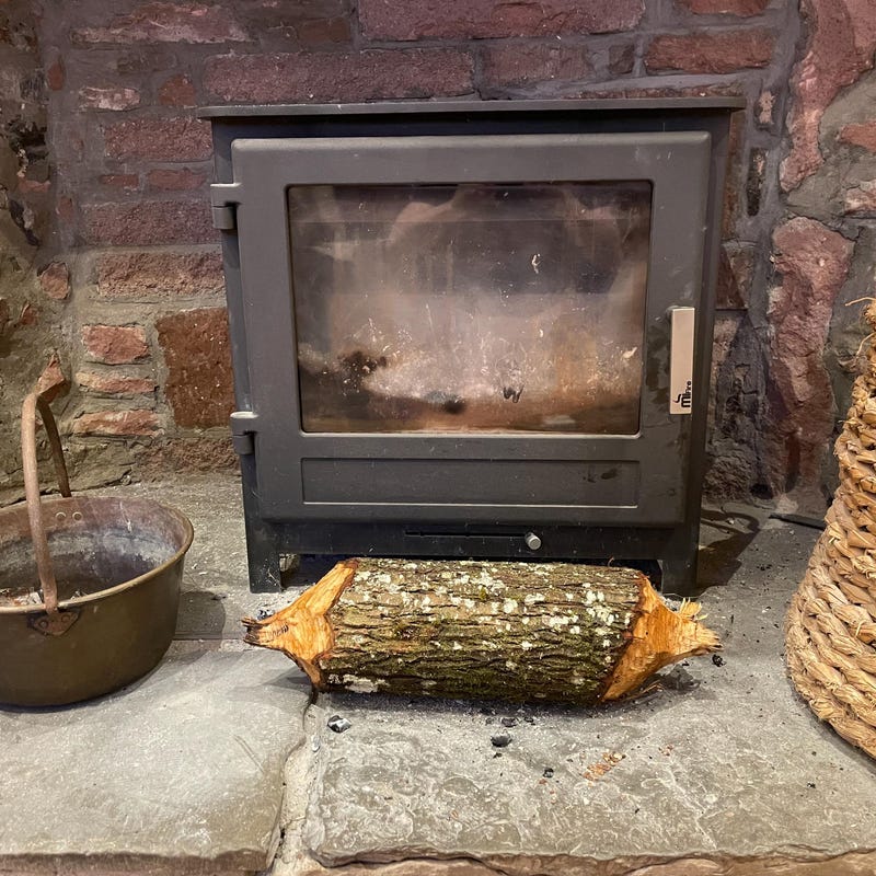 Beaver Wood Ornament - Etsy UK