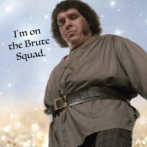 Your Favorite Quotes From the Princess Bride - Etsy