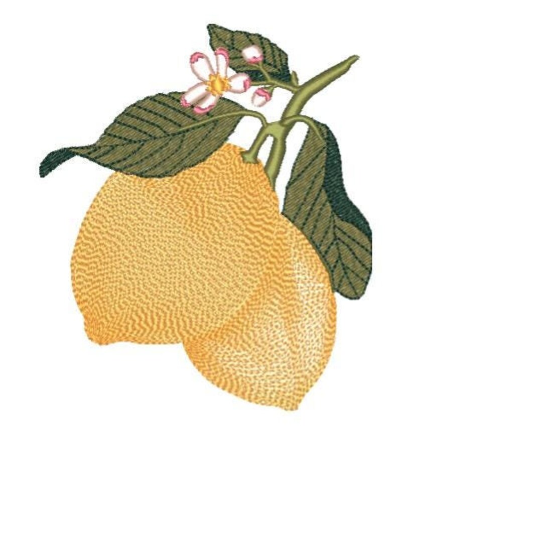 LEMON Classic Embroidery Design - Etsy