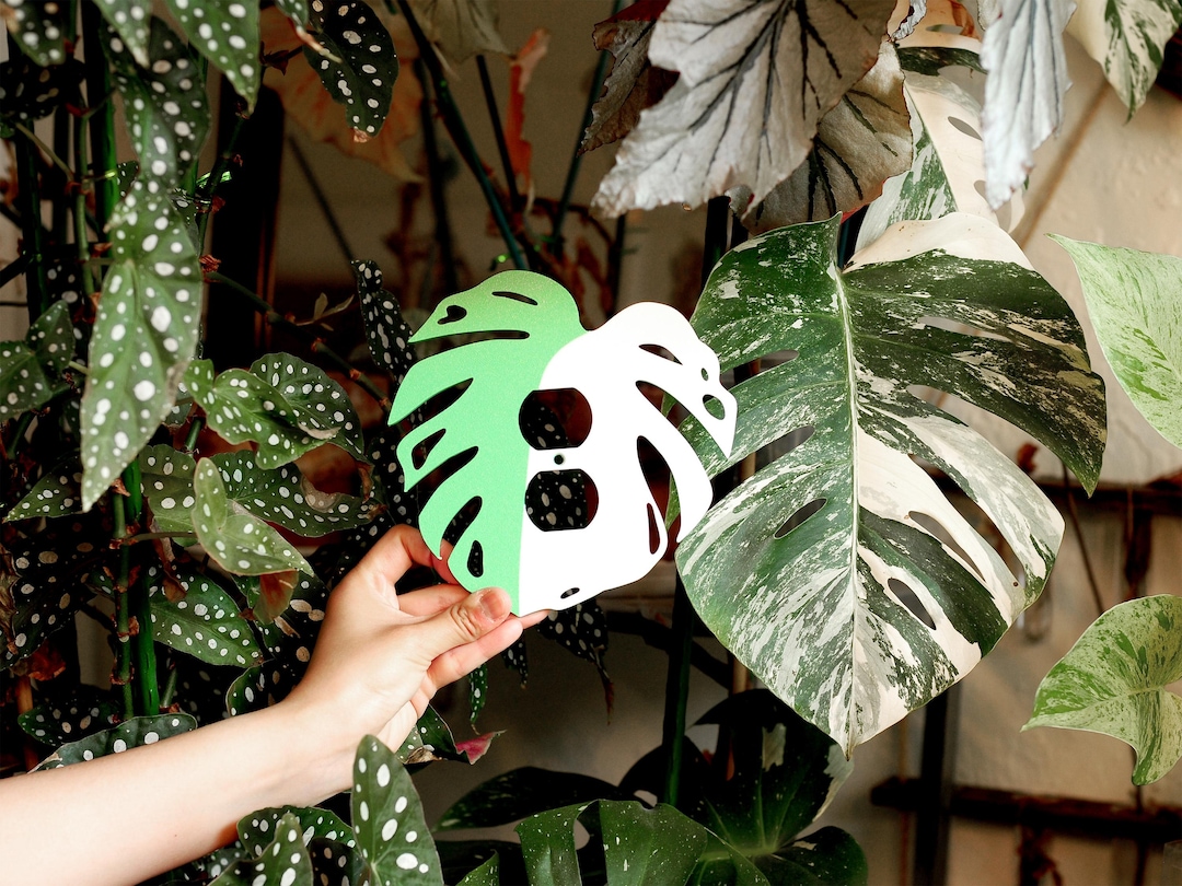 Monstera Albo Light Switch Cover: Botanical Home Decor, Plant Lover ...
