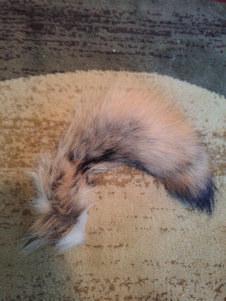 2nd Quality Coyote Tails - Etsy