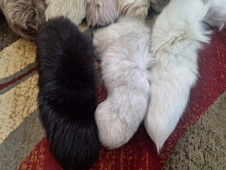 Dyed Blue Fox Tails- Assortment of Colors - Etsy