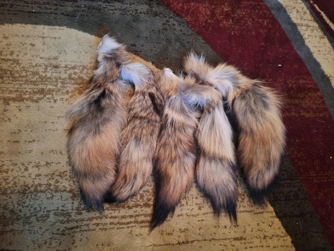 2nd Quality Coyote Tails - Etsy