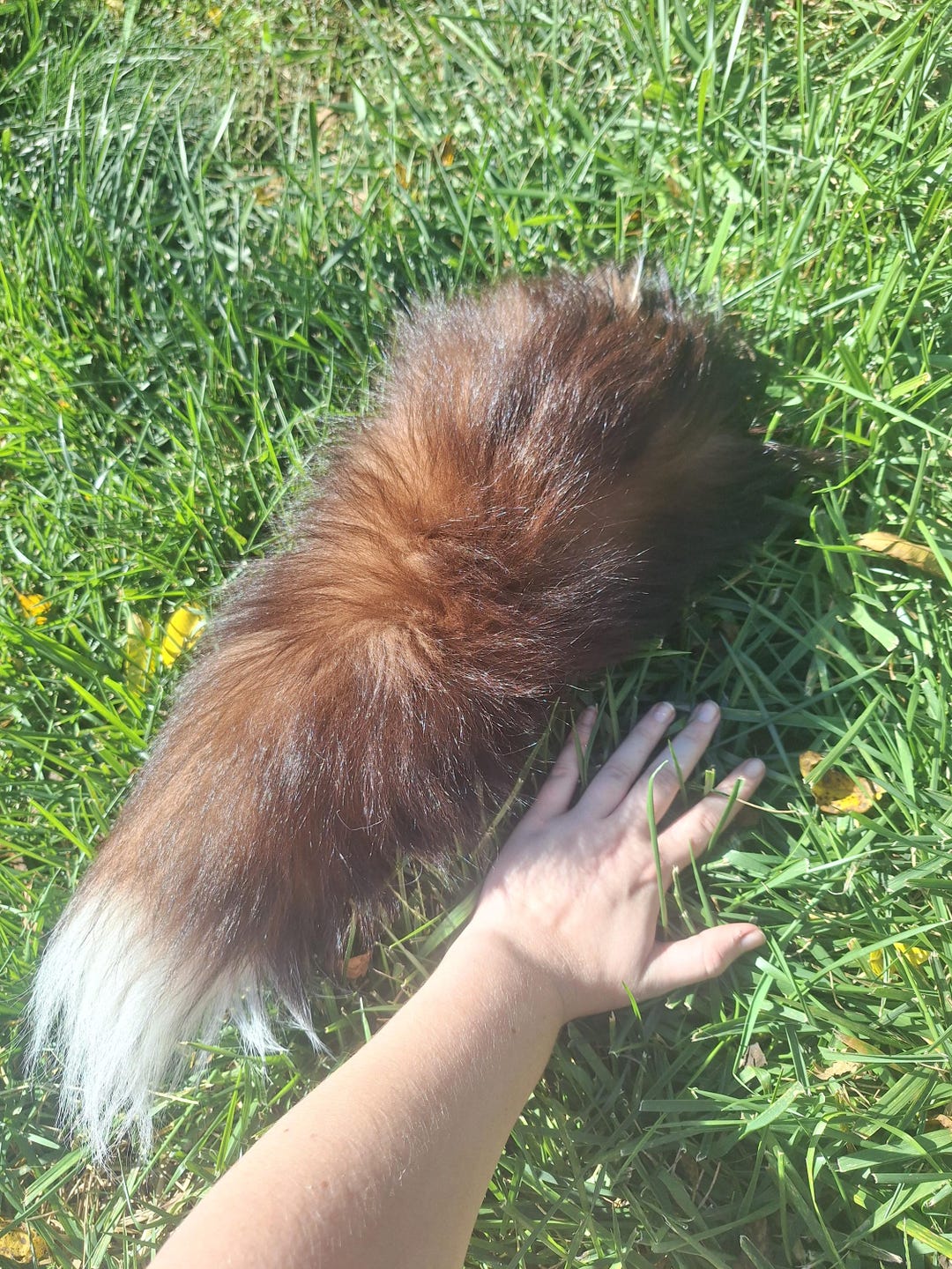 Giant Crystal PUFF Tails - Etsy
