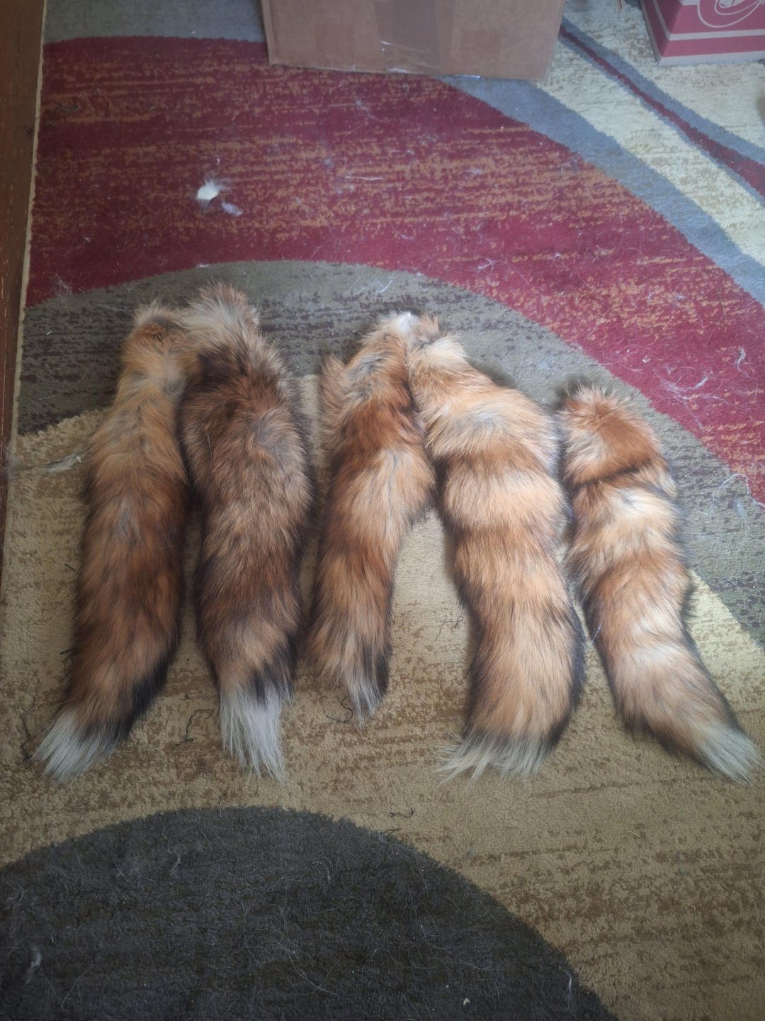 Large Ethically Sourced Red Fox Tails - Etsy